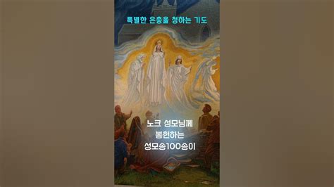 노크 성모님 함께 기도해요 9일ㅣ침묵 속에서 평화와 희망을 전하신 어머니ㅣ성모송100송이ㅣ특별한 은총을 청하는 기도ㅣ침묵ㅣ