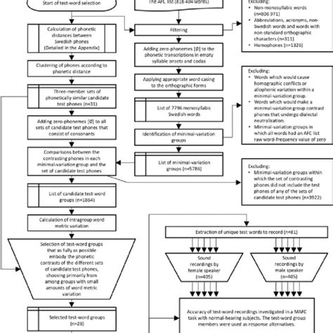 Flow Chart Describing The Steps In The Development Of Linguistic