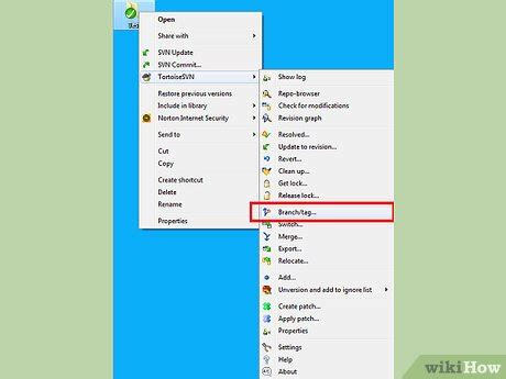 How To Create A Tag And Perform A Revert In TortoiseSVN 12 Steps