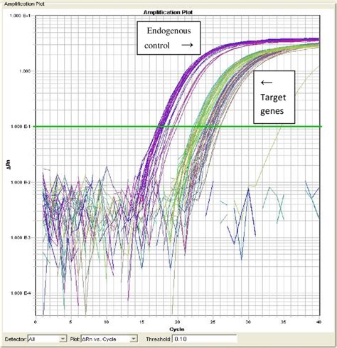 4 amplification plot for both the target and reference genes