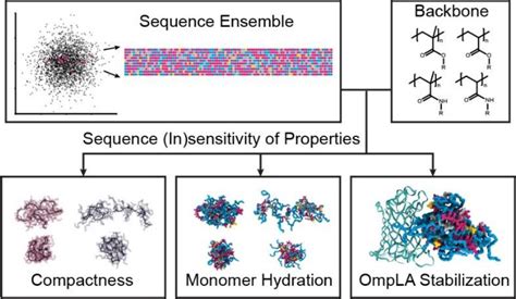 Sequence‐sensitivity In Functional Synthetic Polymer Properties Jin