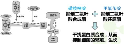 安赛宁 惠盈动保官网
