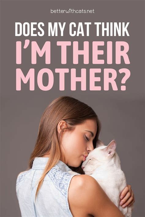 Do Cats Know When You Re Sleeping Answered Explained Artofit