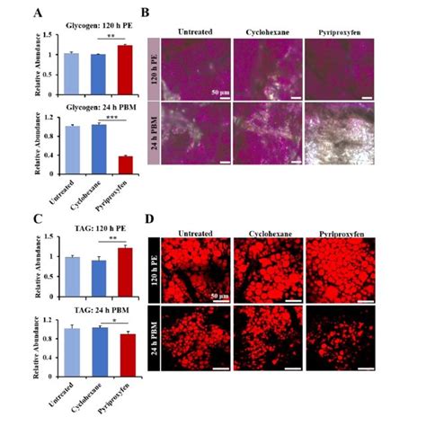Reproductive Outcomes Of Five PPF Treatment Regimens Download Table