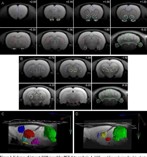 Figure 1 From Imaging Neuronal Pathways With 52mn Pet Toxicity