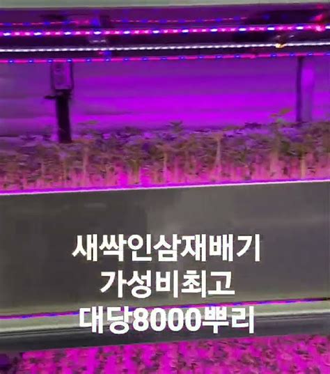 가성비최고인 그로운팜 새싹재배기소개 Youtube