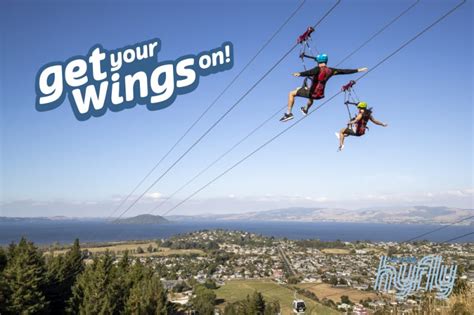 부산 오시리아 테마파크 내 최대 60km H 활강 집와이어 오픈 파이낸셜뉴스