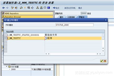 SAP的ABAP屏幕程序如何使用Table Control进行数据交互 阿里云开发者社区