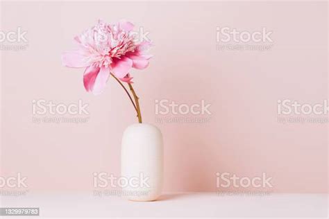 파스텔 핑크 배경에 꽃병에 분홍색 모란 꽃이 테이블에 서 있다 복사 공간 개화기에 대한 스톡 사진 및 기타 이미지 개화기 공휴일 꽃 나무 Istock