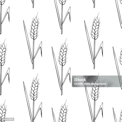 밀 스파이크 벡터 원활한 패턴 흰색 배경에 격리 된 스케치 스타일로 그려진 검은 색 윤곽선입니다 빵집 제품 밀가루 수확을 테마로 직물 포장지 포장의 디자인 가을에 대한 스톡