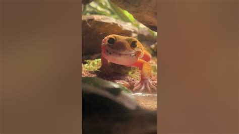 POV: You are a Bug - YouTube