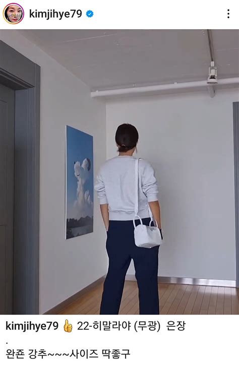 단독 개그우먼 김지혜 300만원 대 ‘에르메스 스타일 가방 판매 논란결국 판매 중단 일요신문