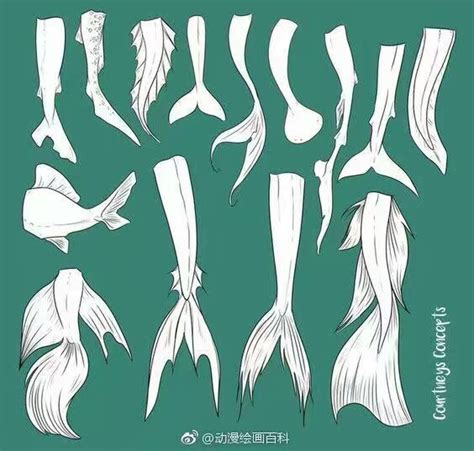 鱼尾 堆糖美图壁纸兴趣社区