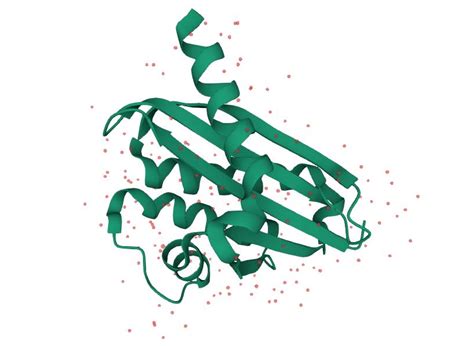 What Is Rnase H And What Does It Do Dna Testing Experts