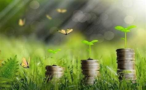 Tkbi Kontribusi Ojk Membangun Ekonomi Hijau Infobanknews