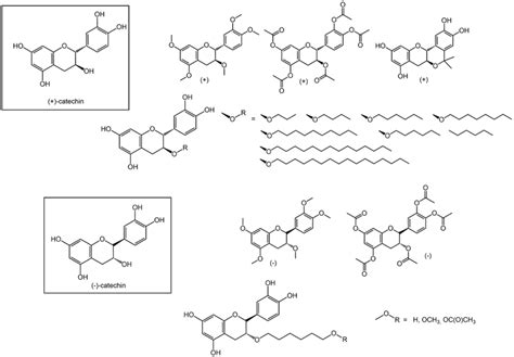 Synthetic Derivatives Of Catechin With Enhanced Activity 371 373