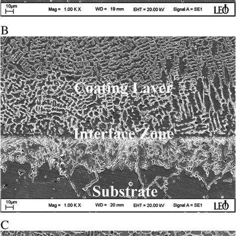 Sem Micrograph Of Coating Layer And Substrate Material Interface For