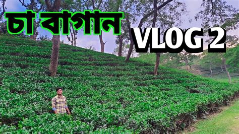 বাঁশখালী বেলগাঁও চা বাগানবাংলাদেশের দ্বিতীয় গুরুত্বপূর্ণ চা বাগান