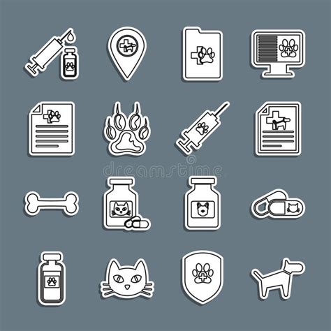 établir Ligne Chien Chat Et Pilules Certificat Médical Pour Chien Ou