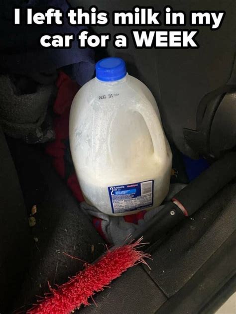 20 Pics That Capture The Essence Of Tough Days Barnorama