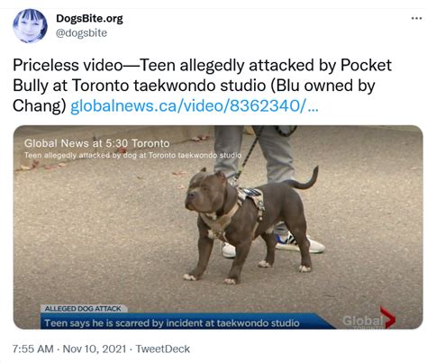 Are Pit Bulls Banned In Toronto