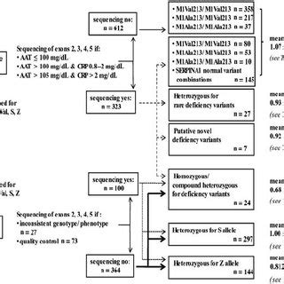 Schematic Representation Of The Genotyping Sequencing Strategy Followed Download Scientific