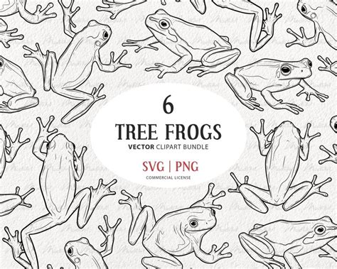 6 Tree Frogs SVG Clipart Bundle Frog Vector Drawings Green Etsy
