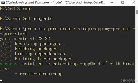 Strapi下载安装慢报错失败总结带解决代码已成功）strapi Sharp Csdn博客