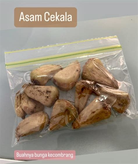 Asam Cekala Patikala Mia Mamijekz