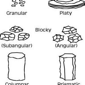 Illustration Of Principle Soil Aggregates Download Scientific Diagram