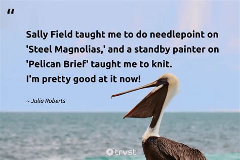 15 Pelican Quotes Taking Flight With Wisdom