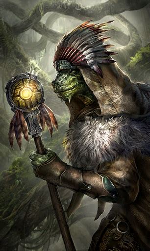 Жрец Шедоуфена The Elder Scrolls Wiki Fandom
