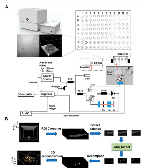 Figure 1 From Automated Detection And Growth Tracking Of 3d Bio Printed