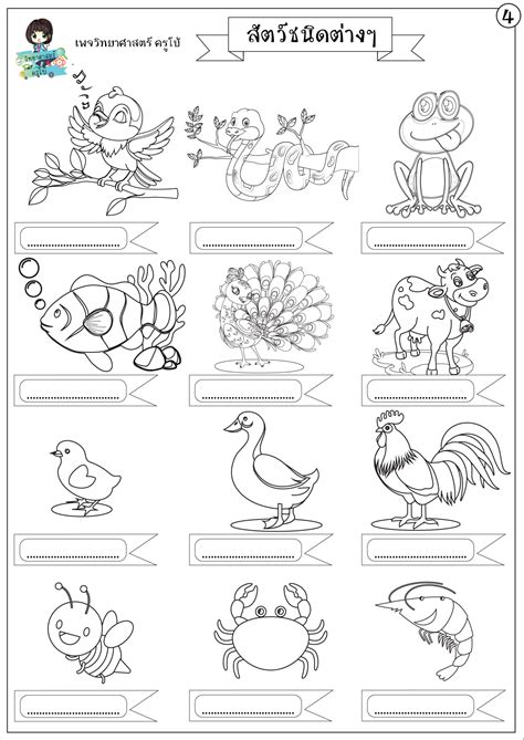 วิทยาศาสตร์ ครูโบ้ Added A New Photo วิทยาศาสตร์ ครูโบ้