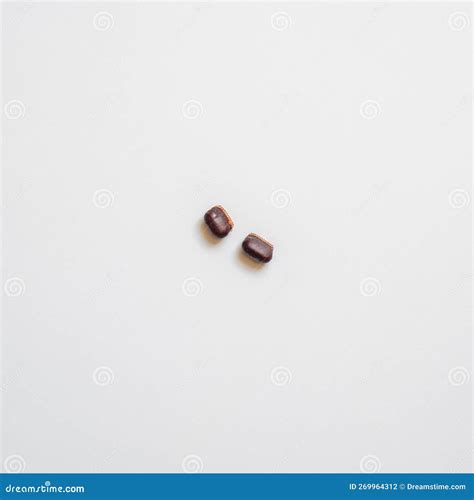 Two Cockroach Eggs And Stainless Steel Ruler In Inch International