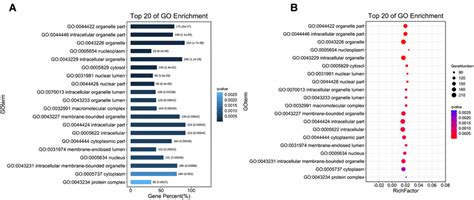 Go Enrichment Analysis Of CircRNA Expression In Wound Tissues Of