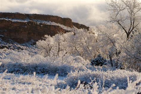 Chilly Early Morning In Lory State Park Rfortcollins