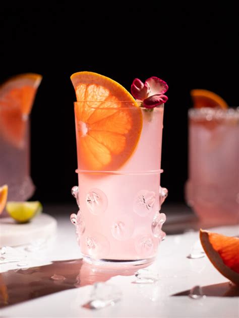 Moody Mixologist Creative Botanical Cocktail Recipes From My Home Bar