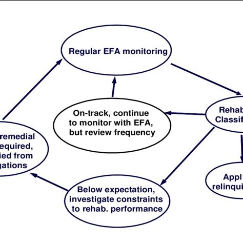 Rehabilitation Classification® Framework Ward Et Al 2006 Download