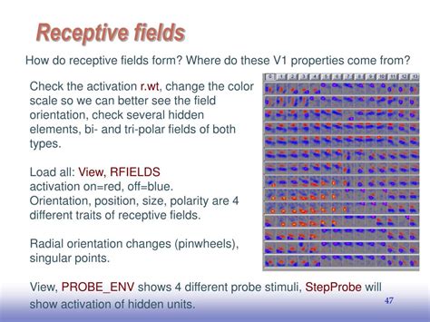 PPT Perception Vision PowerPoint Presentation Free Download ID 6006015