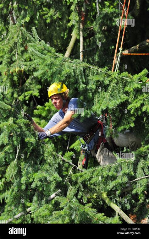 Lumberjack Surgeon Hi Res Stock Photography And Images Alamy