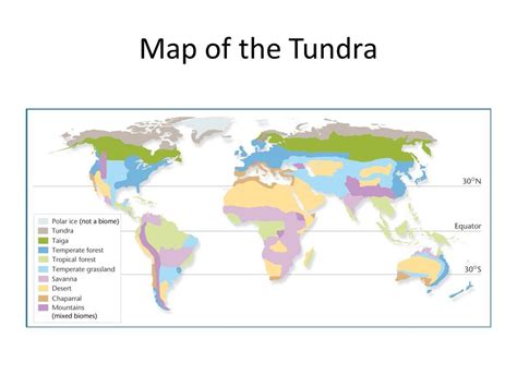 Best 13 Cryptocurrency Prices Market Cap Trading Charts Bitcoin Ethereum And More At