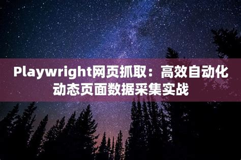 Playwright网页抓取:高效自动化动态页面数据采集实战ip代理网 Playwright网页抓取:高效自动化动态页面数据采集实战ip代理网