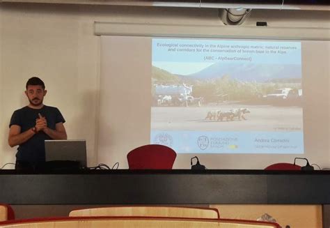 Photo Gallery Andrea Corradini