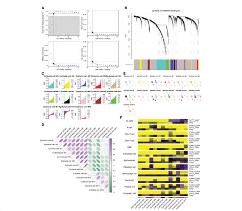 Hdwgcna Has Identified The Key Epithelial Cell Genes In The Download Scientific Diagram