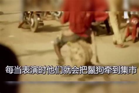 为什么鬣狗会怕非洲人？看完满满的心酸，镜头记录全过程！