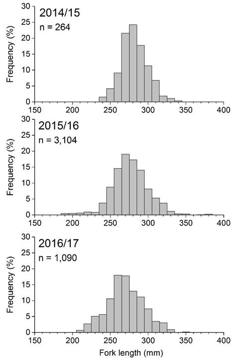 3 Length Frequency Distribution Of Blue Mackerel East Caught By