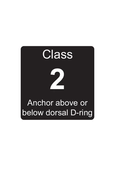 Understanding The Shift From “leading Edge” To “class 2” Srls