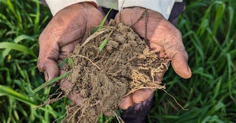 OSSC Soil Conservation Worker And Other Posts Provisional Result Out Check Details Here