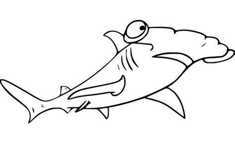 Desenhos de Tubarão Martelo para Colorir Pintar e Imprimir ColorirOnline